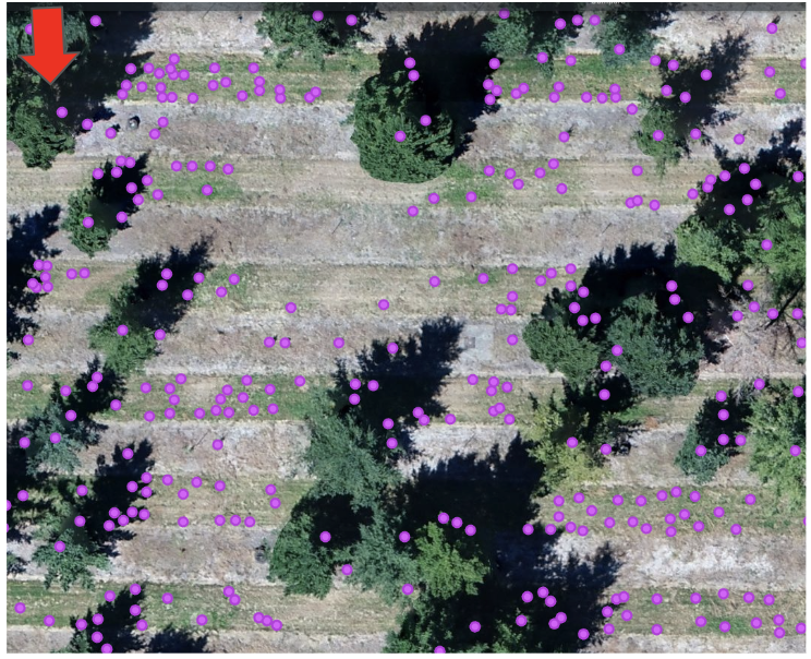 AI Annotations (Open Beta) – DroneDeploy