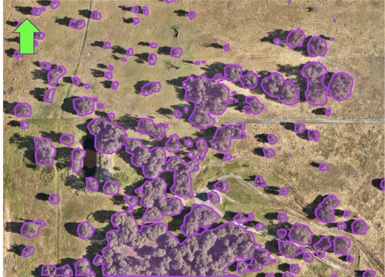 AI Annotations: Preset Custom Models – DroneDeploy